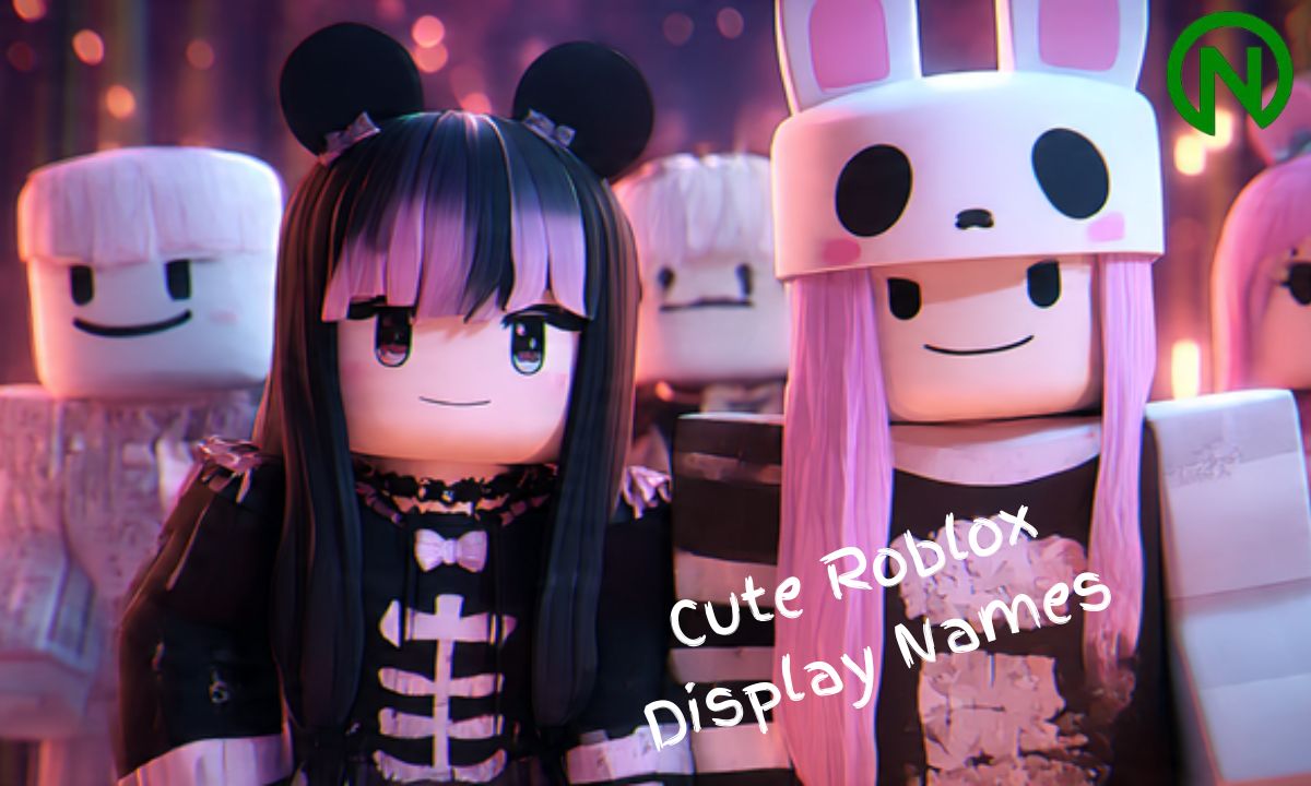 180+ Funny, Cool, & Creative Roblox Display Name Ideas